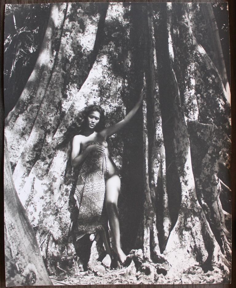 Tahitienne Nue Adossée à Un énorme Arbre En Barnebys
