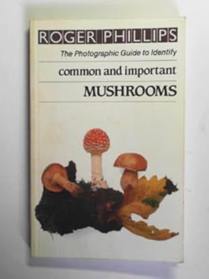 Mushrooms by Roger Phillips - AbeBooks