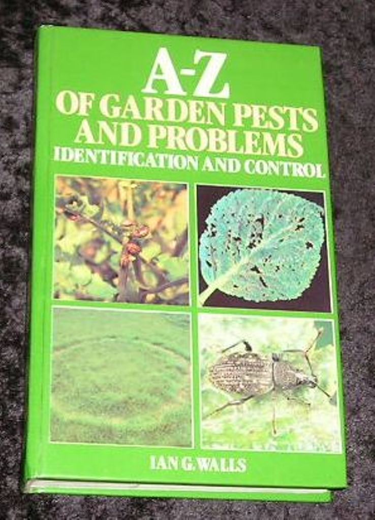 Garden Pest Identification | Fasci Garden
