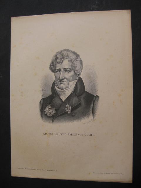 mayerhofer theodor - ZVAB