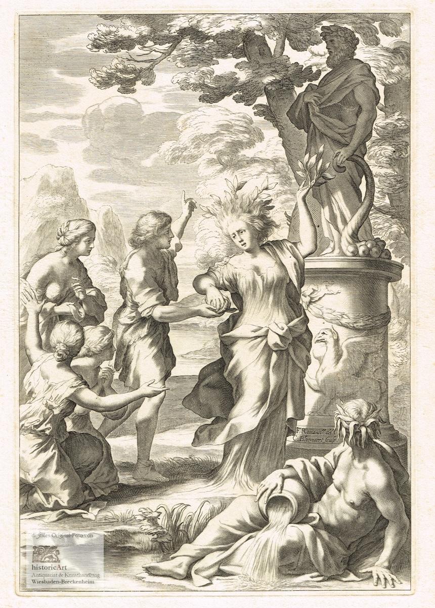 daphne und apollo - ZVAB