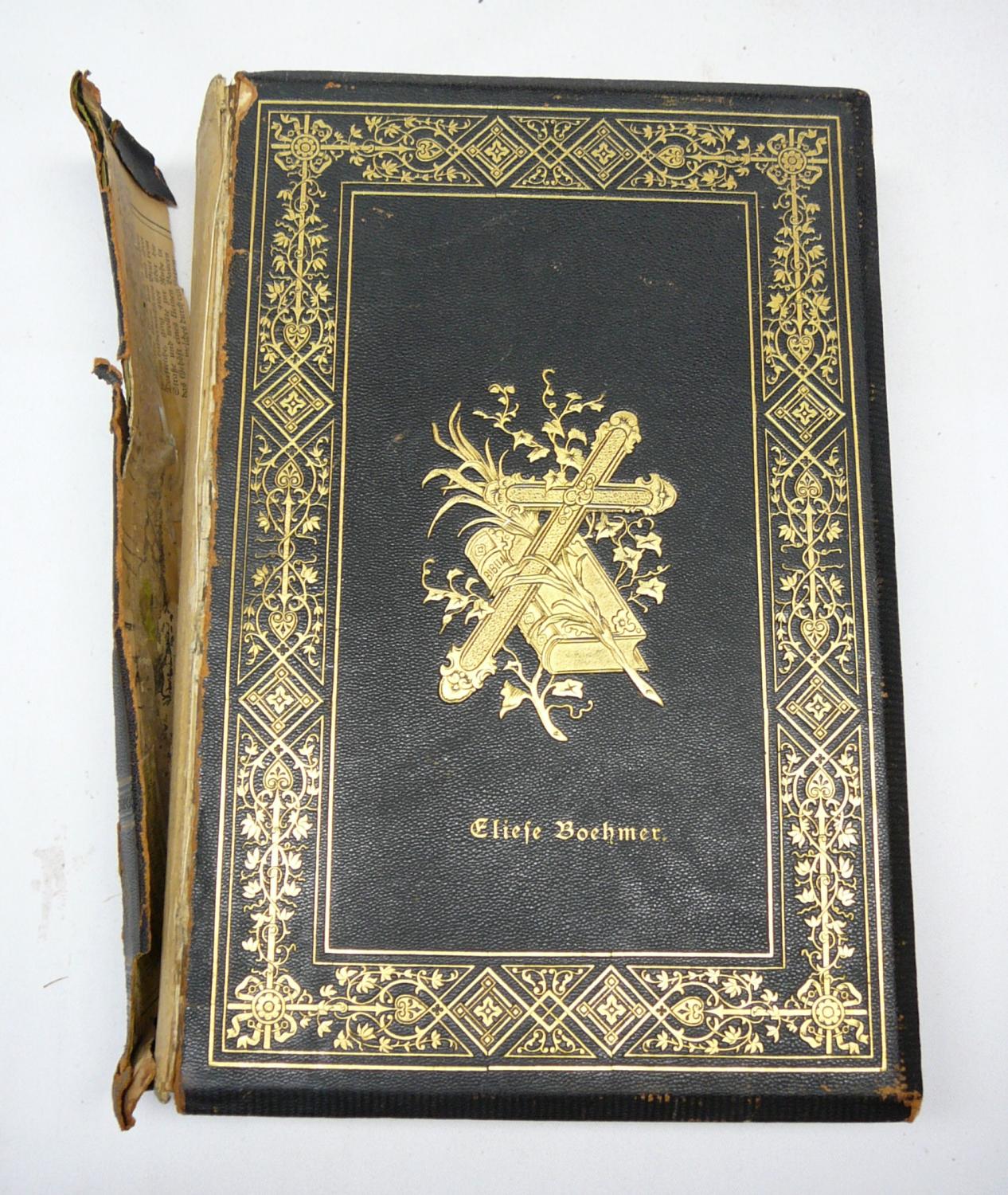 Die Bibel oder die ganze Heilige Schrift Alten und Neuen Testaments ...