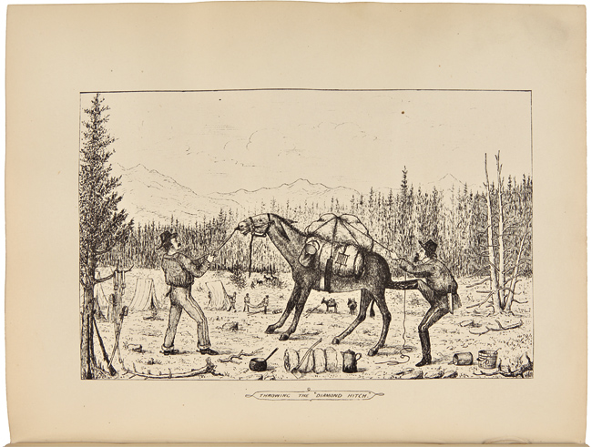 A TRIP TO THE YELLOWSTONE NATIONAL PARK IN JULY, AUGUST, AND SEPTEMBER ...