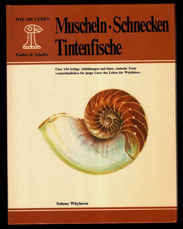 muscheln schnecken tintenfische - ZVAB muscheln schnecken tintenfische - ZVAB