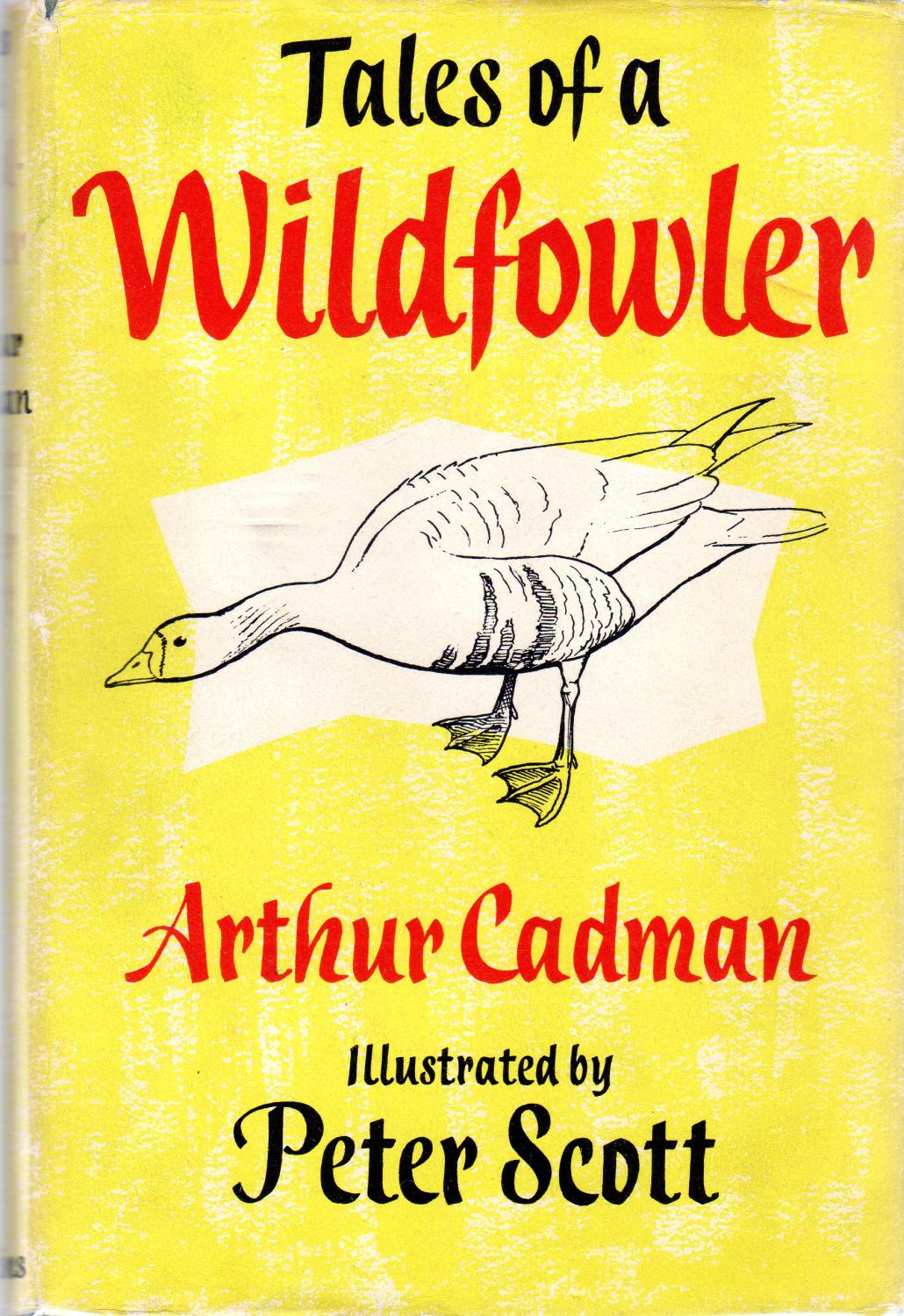 Tales of a Wildfowler by Cadman, Arthur: Very Good Hardcover (1957) 1st ...