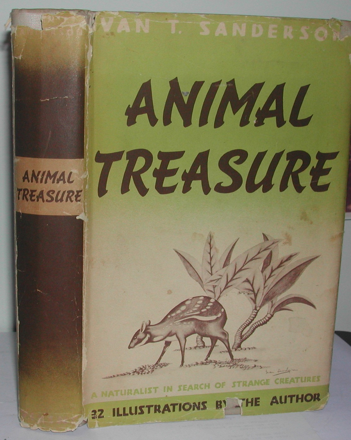 Animal Treasure by Sanderson, Ivan T.: Very Good Cloth (1937) First ...