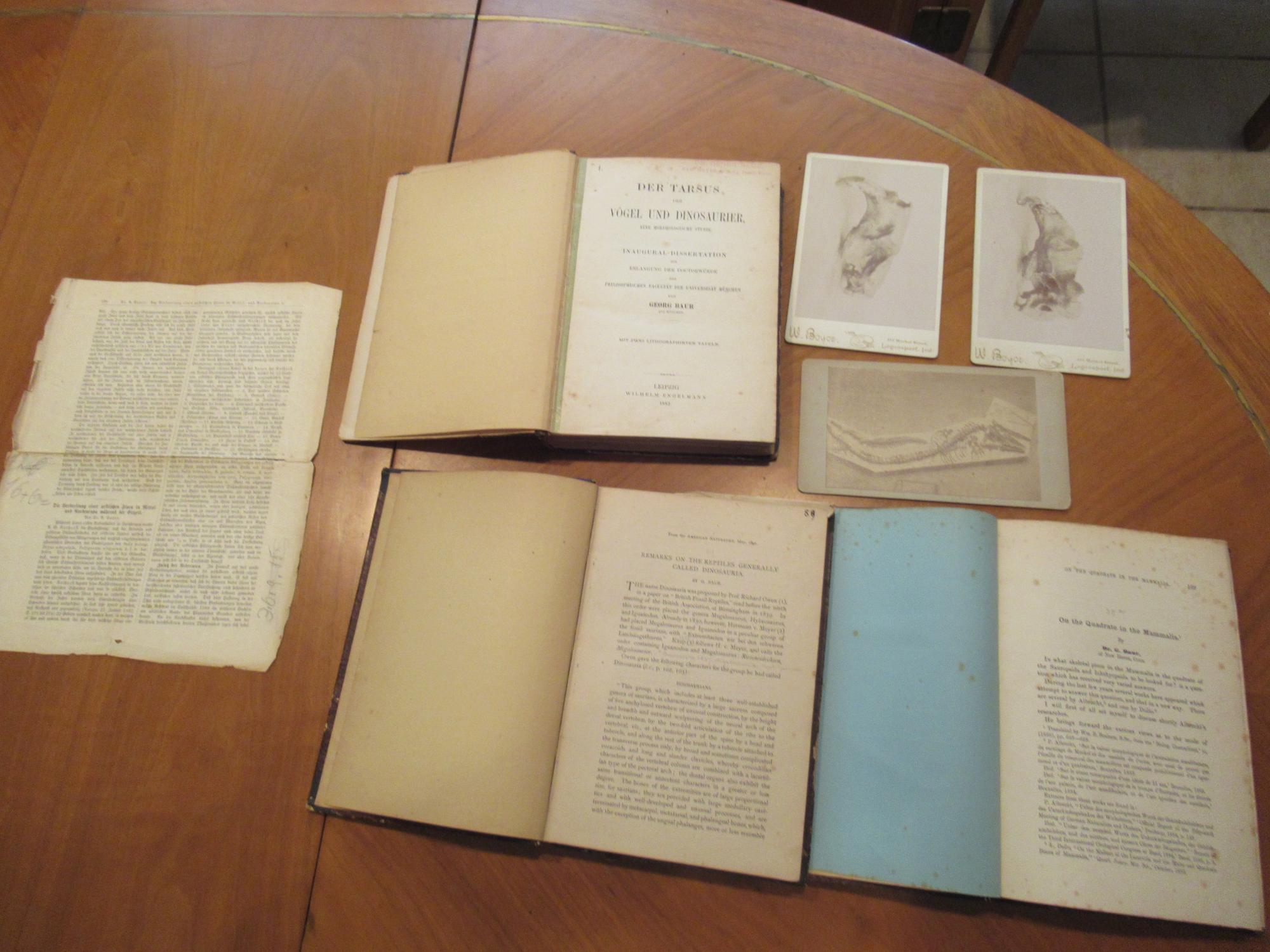 Author's Archive: Works By Georg Baur On Vertebrate Paleontology ...