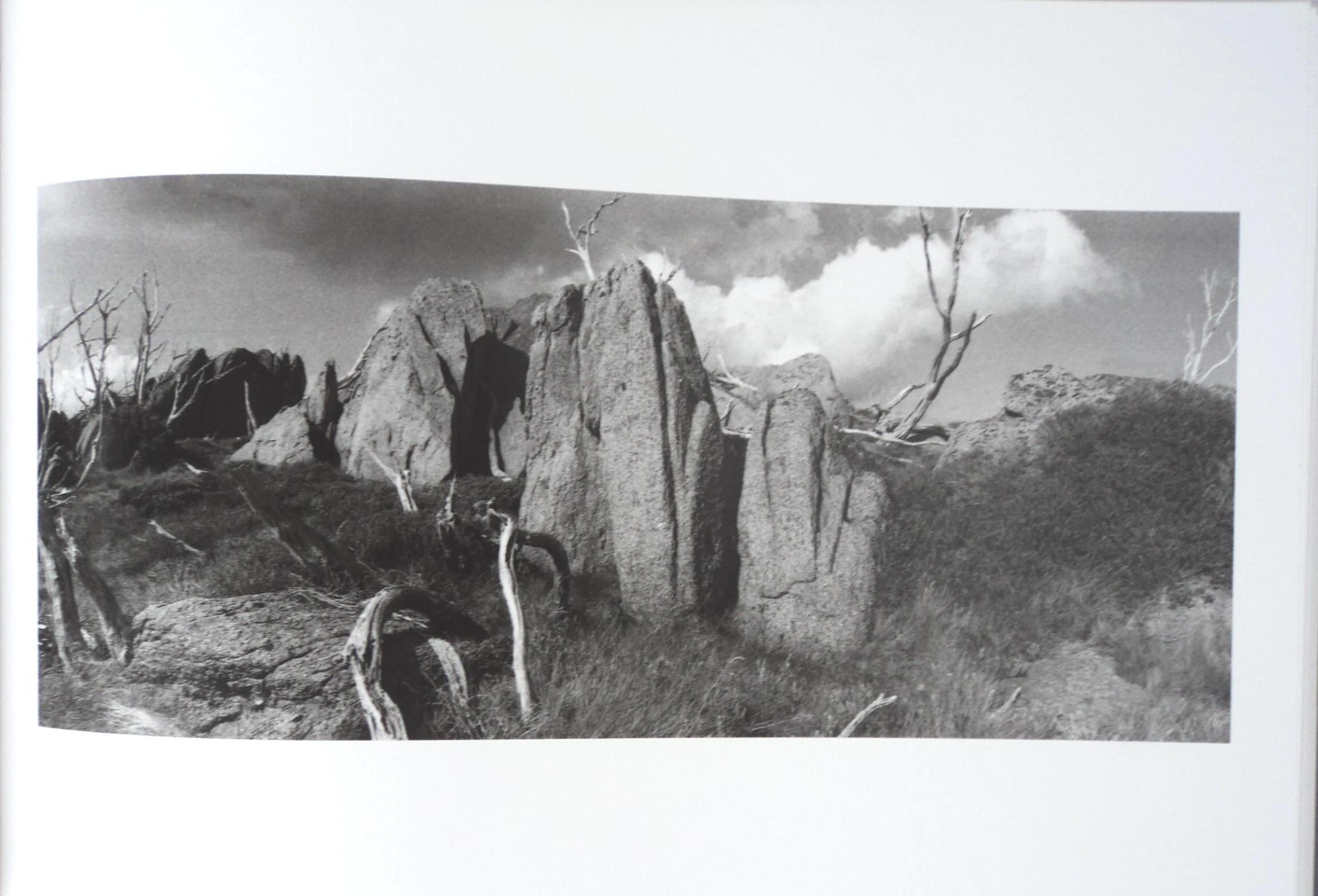 Ingeborg Tyssen: Photographs 1974 - 1992 by Williams. John (ed. & intro ...