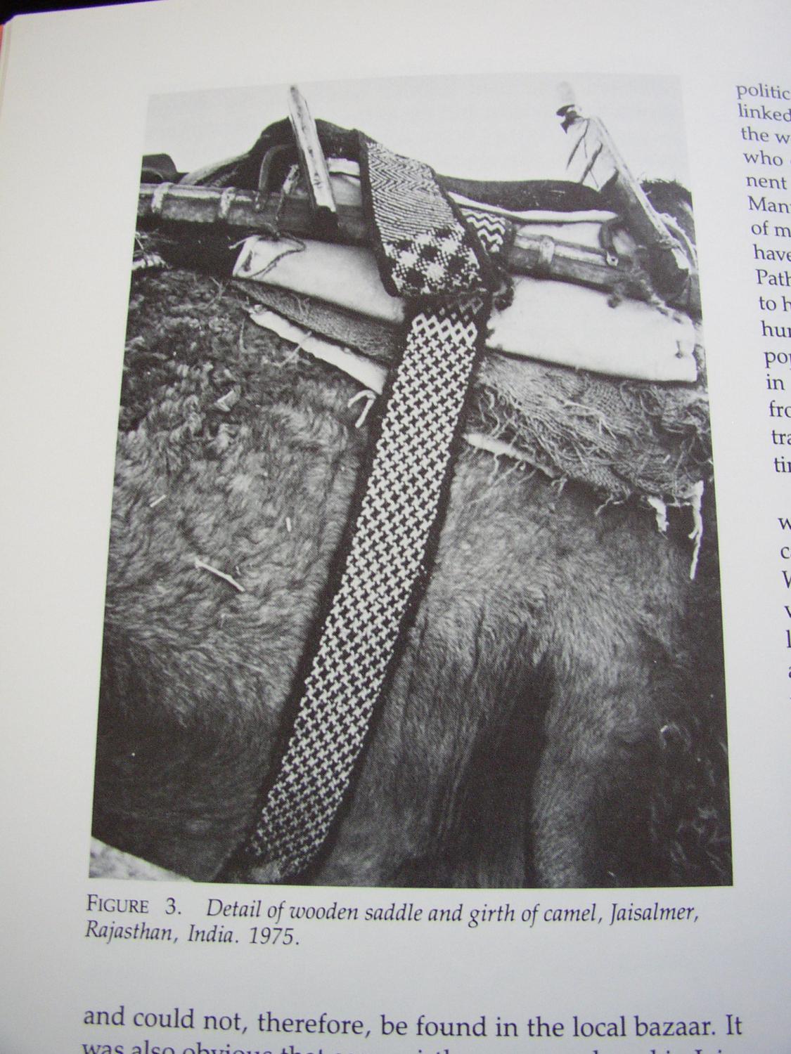 Ply-Split Camel Girths of West India by Betsy Quick and Judith A. Stein ...