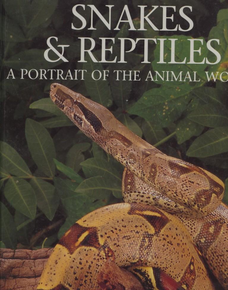 Snakes and Reptiles - A Portrait of the Animal World. by Cleave, Andrew ...