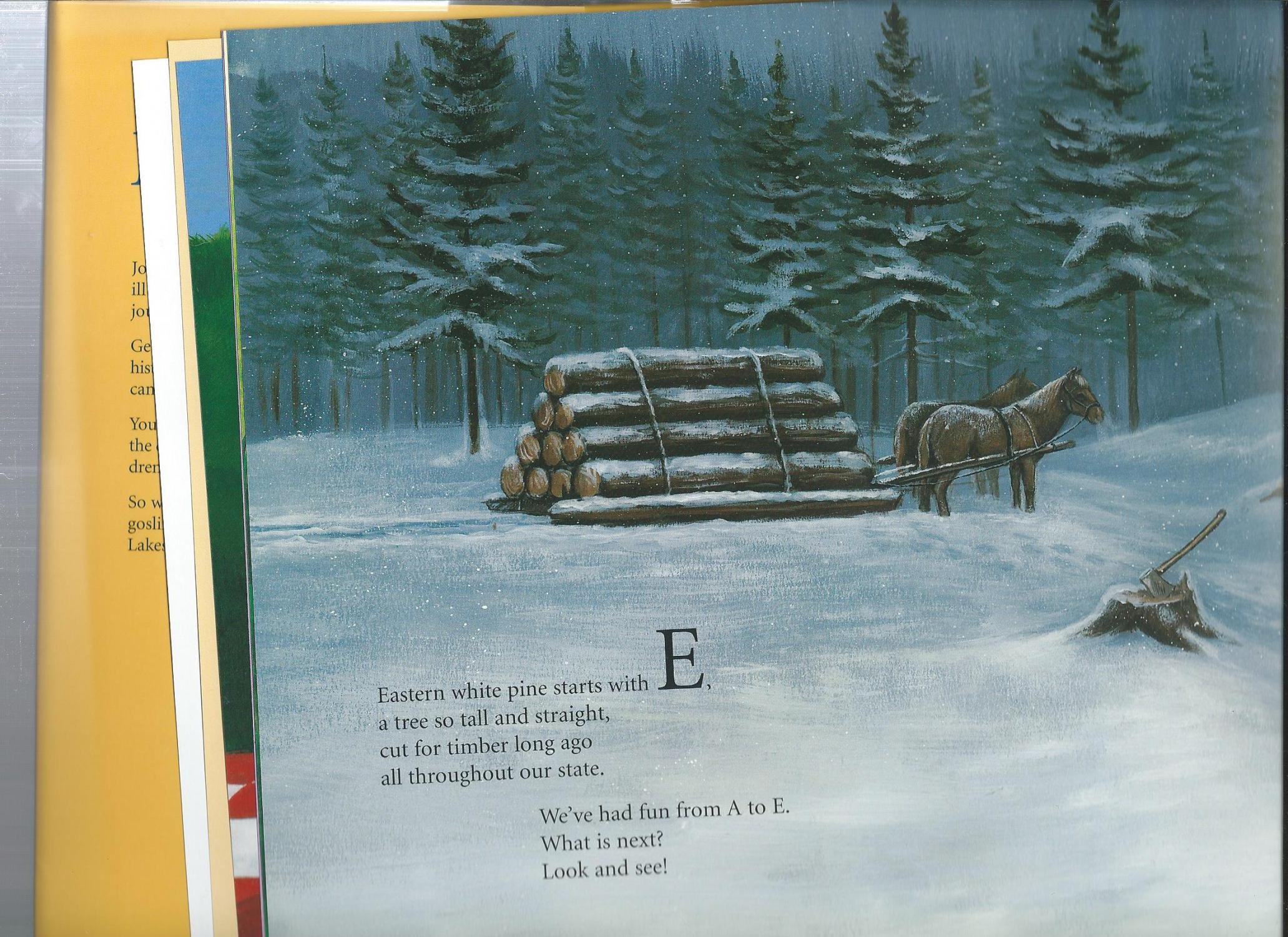 M Is for Mitten: A Michigan Alphabet by Michael Monroe illst.by ...