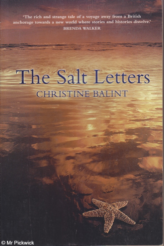 The salt letters by Balint, Christine: Very Good Softcover (1999) First ...