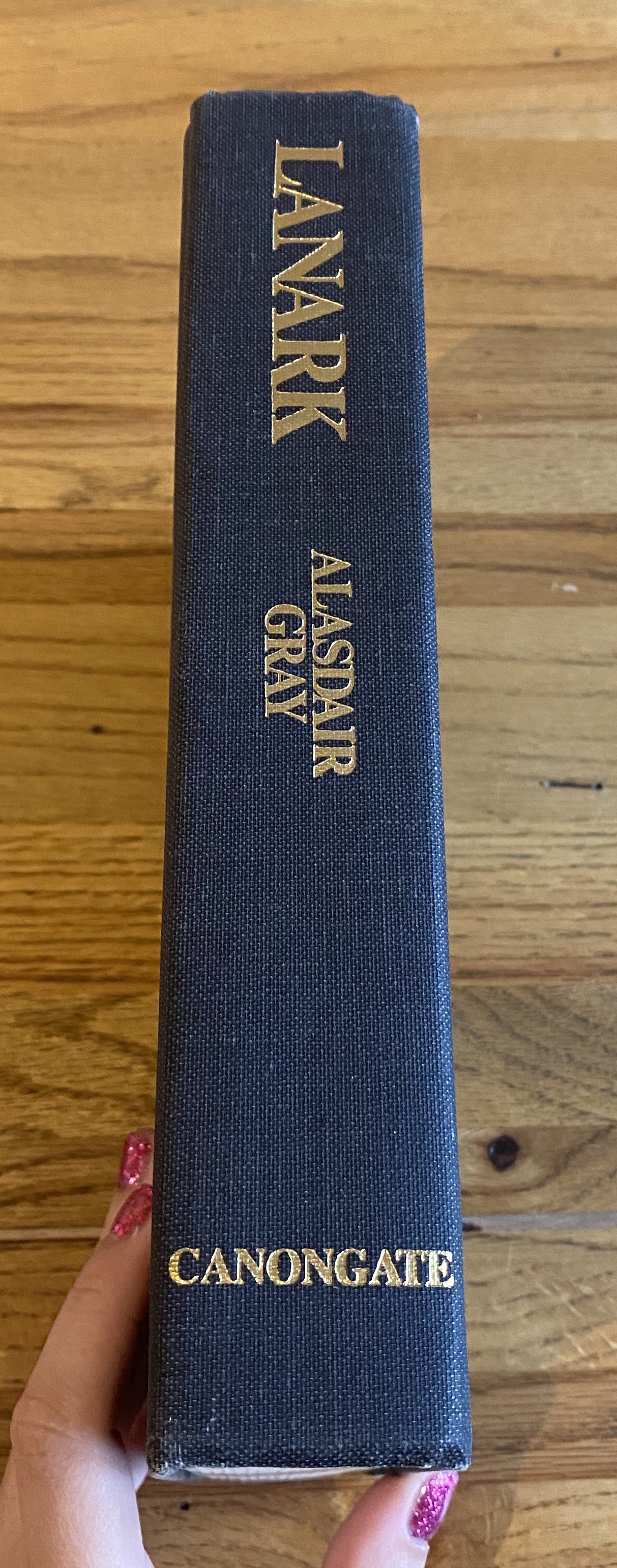 LANARK by GRAY ALASDAIR: Hard Cover (1981) First Edition. | James M ...