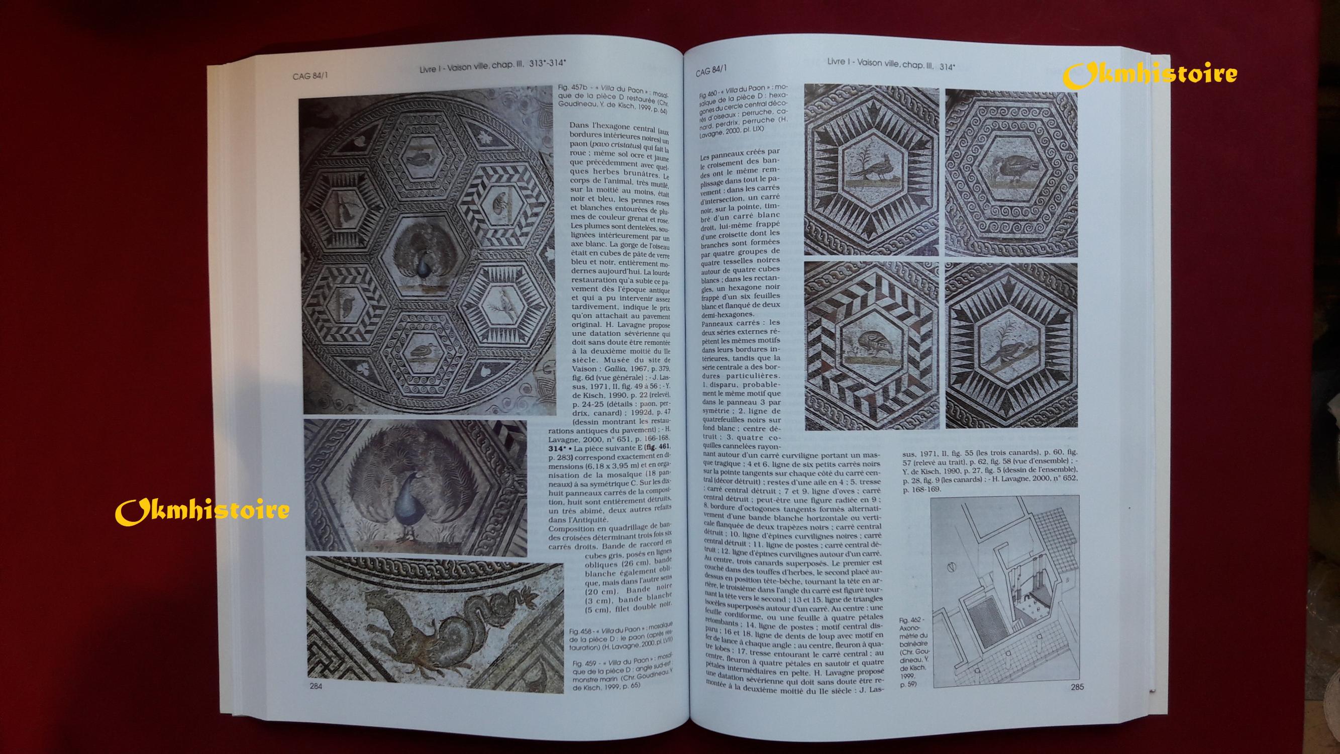 Carte archéologique de la Gaule 84/1 --------- Vaison-la-Romaine et ses ...