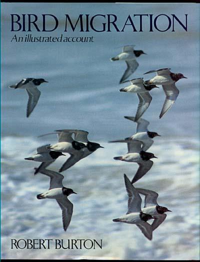 BIRD MIGRATION An Illustrated Account by Burton, Robert: Fine Hard ...
