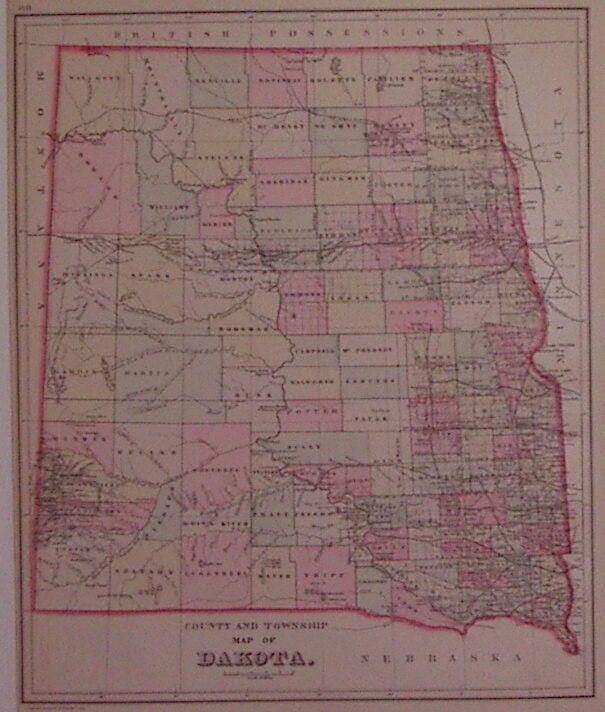 County and Township Map of Dakota by BRADLEY, William M.: very good ...