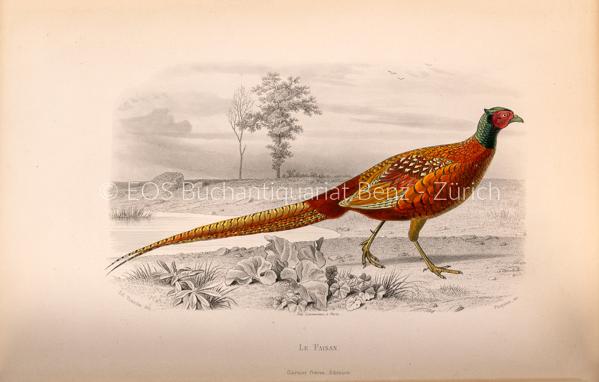 Galerie d'histoire naturelle tirée des oeuvres complètes de Buffon ...