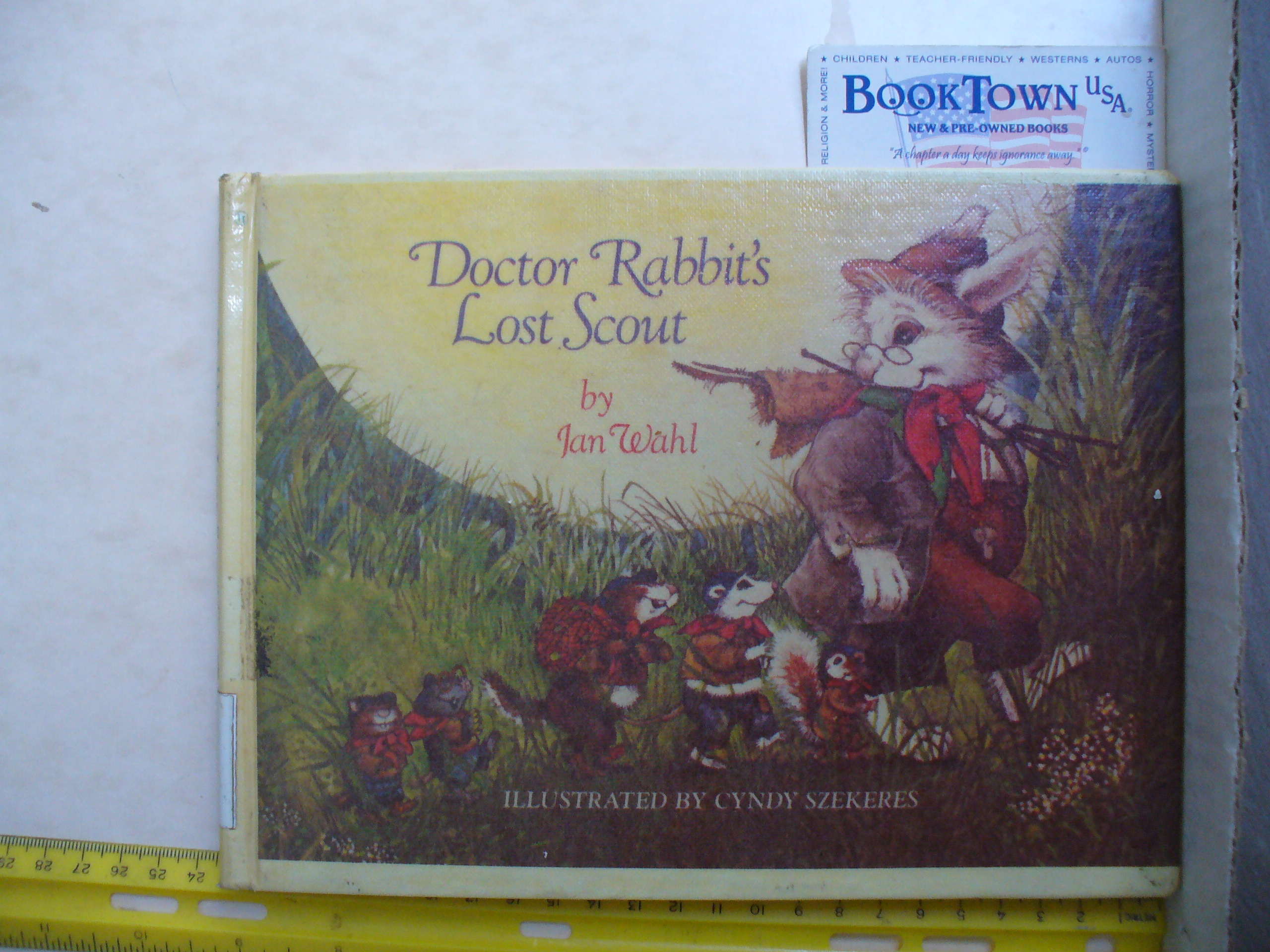 Doctor Rabbit's Lost Scout by Wahl, Jan: Fair Hardcover (1979) 1st ...
