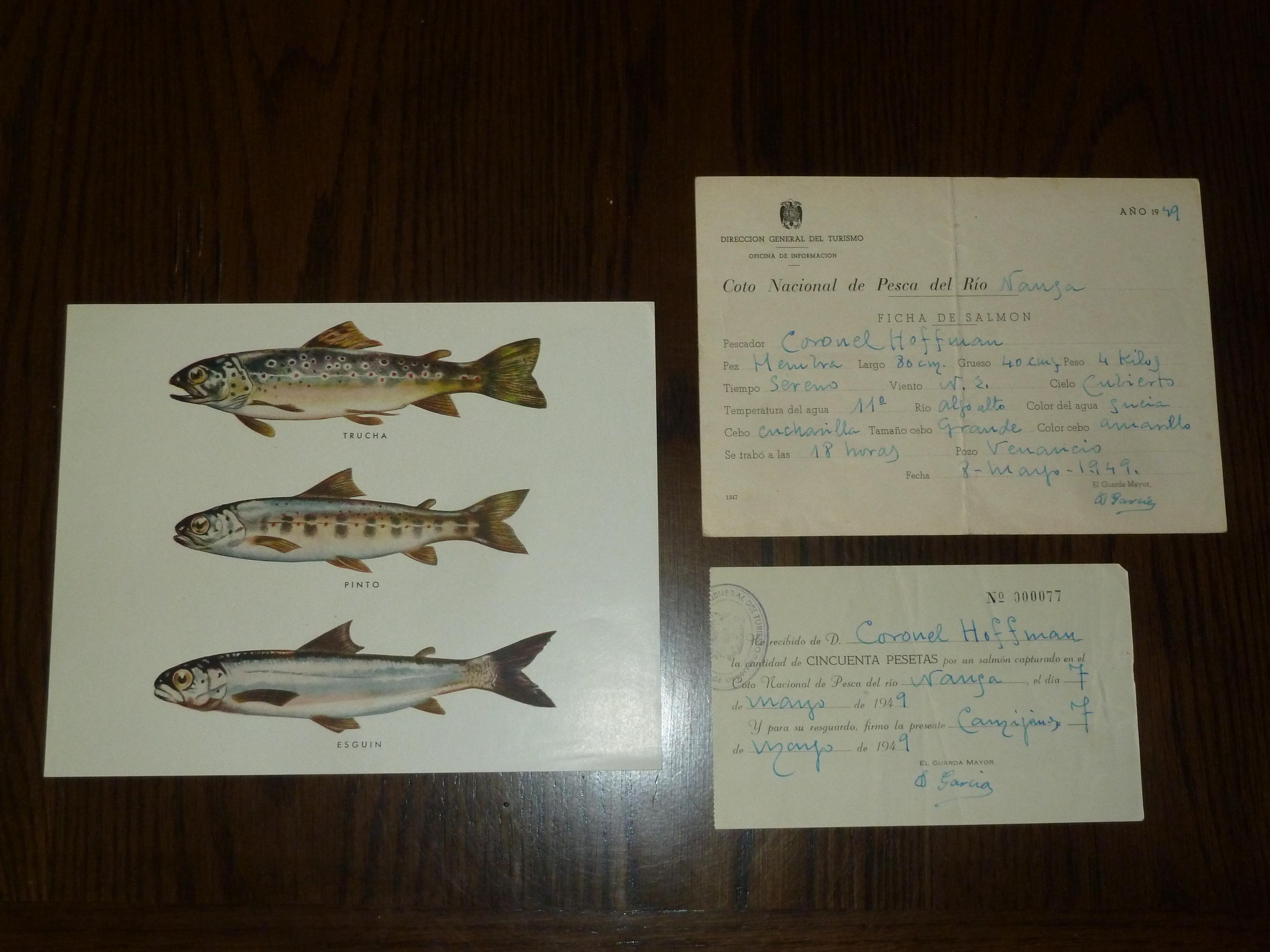 El Salmon y Su Pesca En Espana by Salmon In Spain: Very Good Hardcover ...