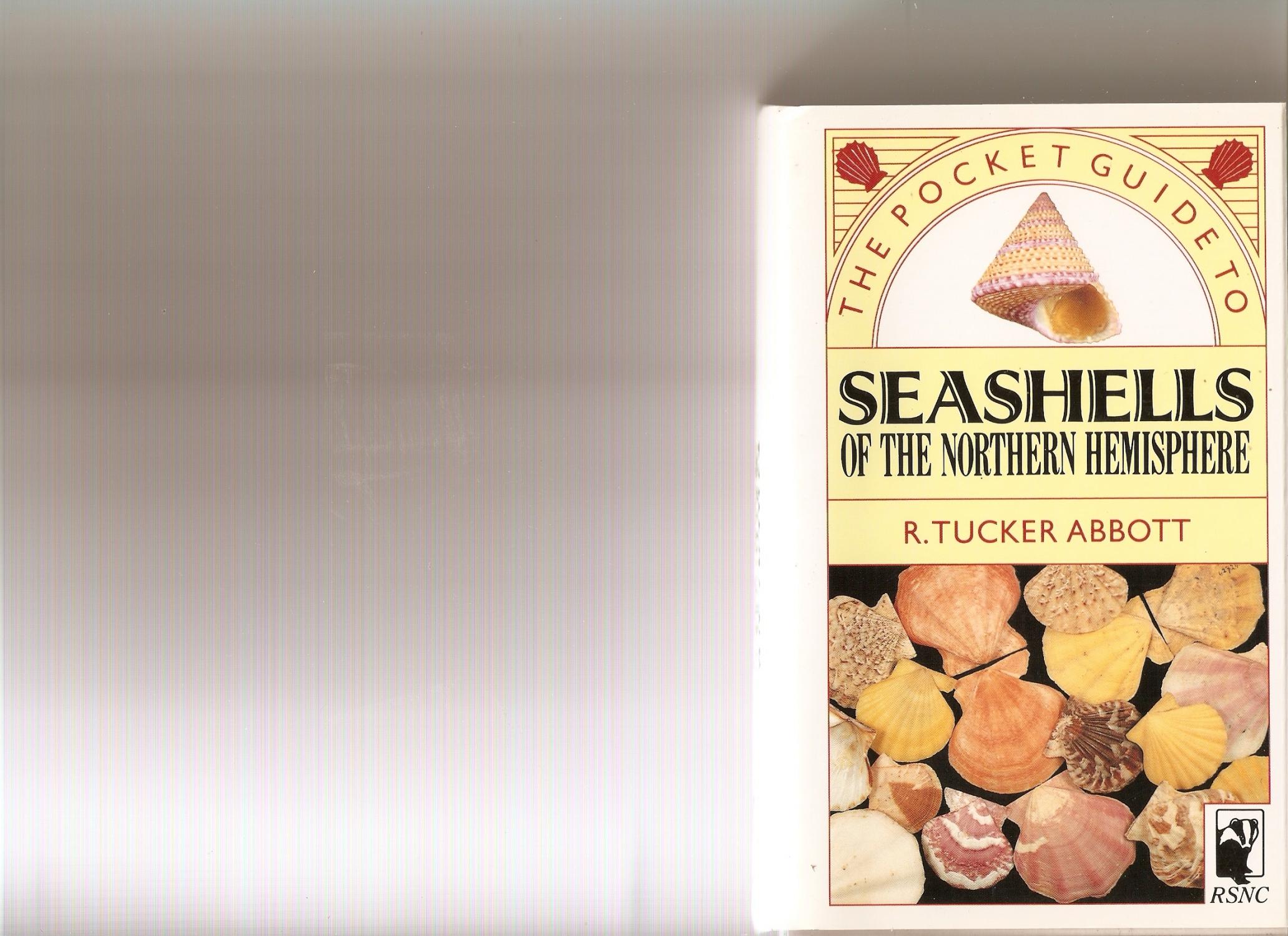 The Pocket Guide to Seashells of the Northern Hemisphere by R Tucker ...