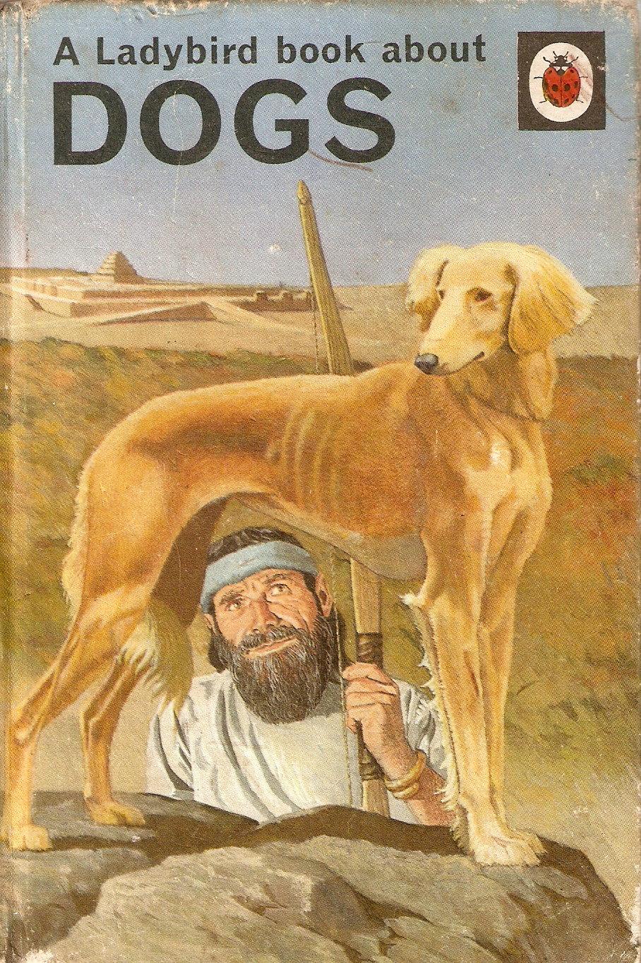 A Ladybird Book About Dogs by Scott, Nancy: Good Pictorial Boards (1968 ...
