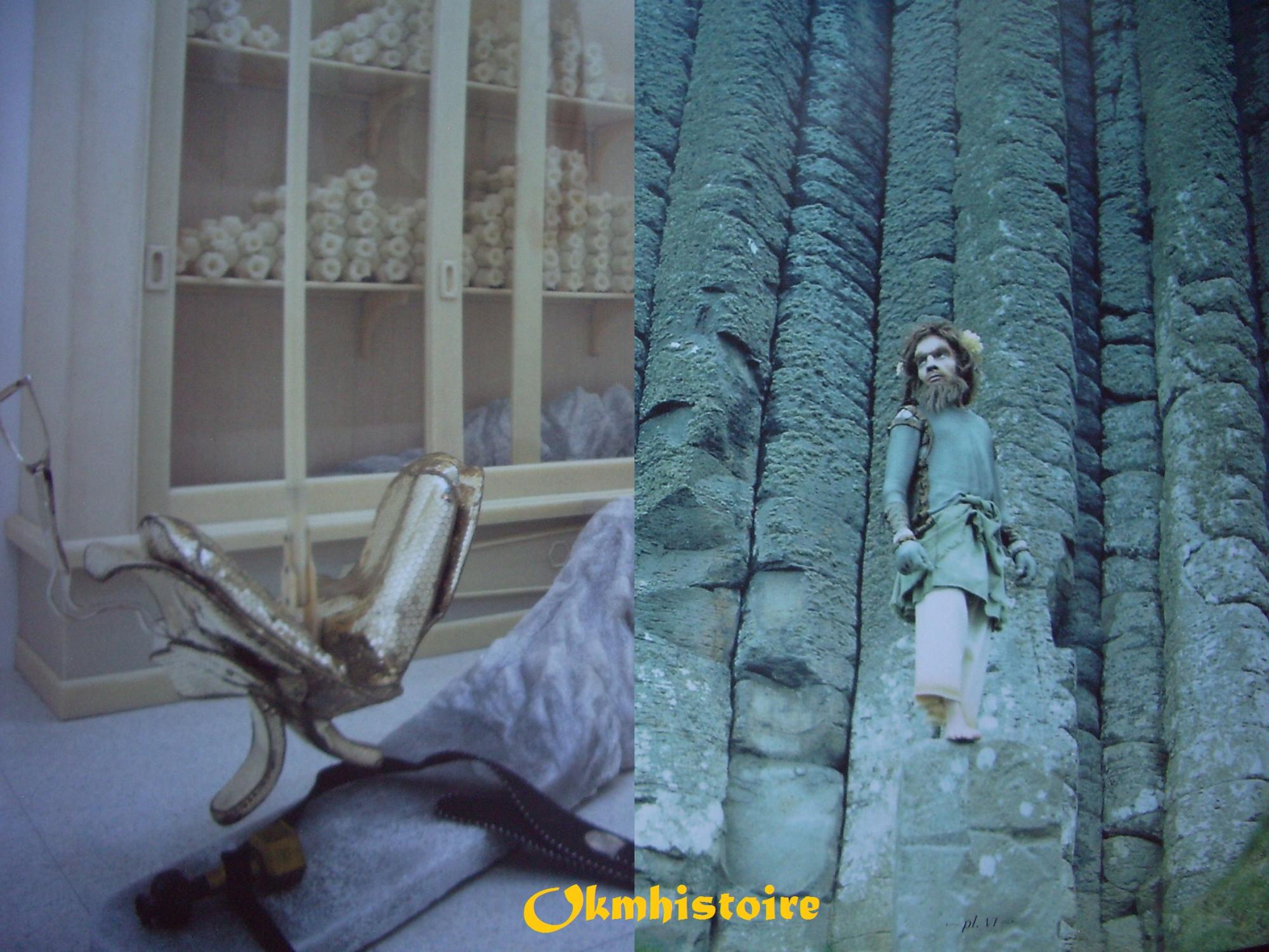 MATTHEW BARNEY : The Cremaster Cycle ------ [ Texte en Français ] by ...