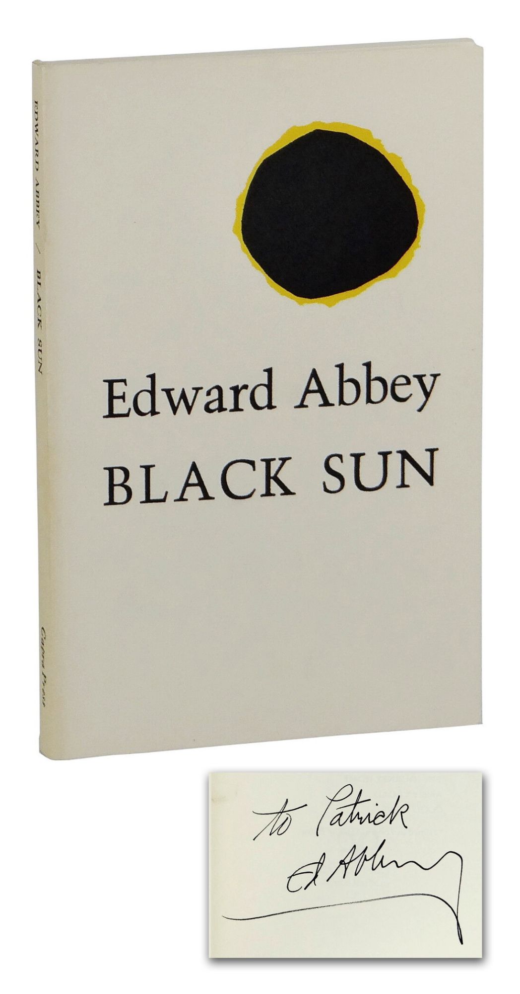 Black Sun von Abbey, Edward: Very Good Paperback (1981) | Burnside Rare ...