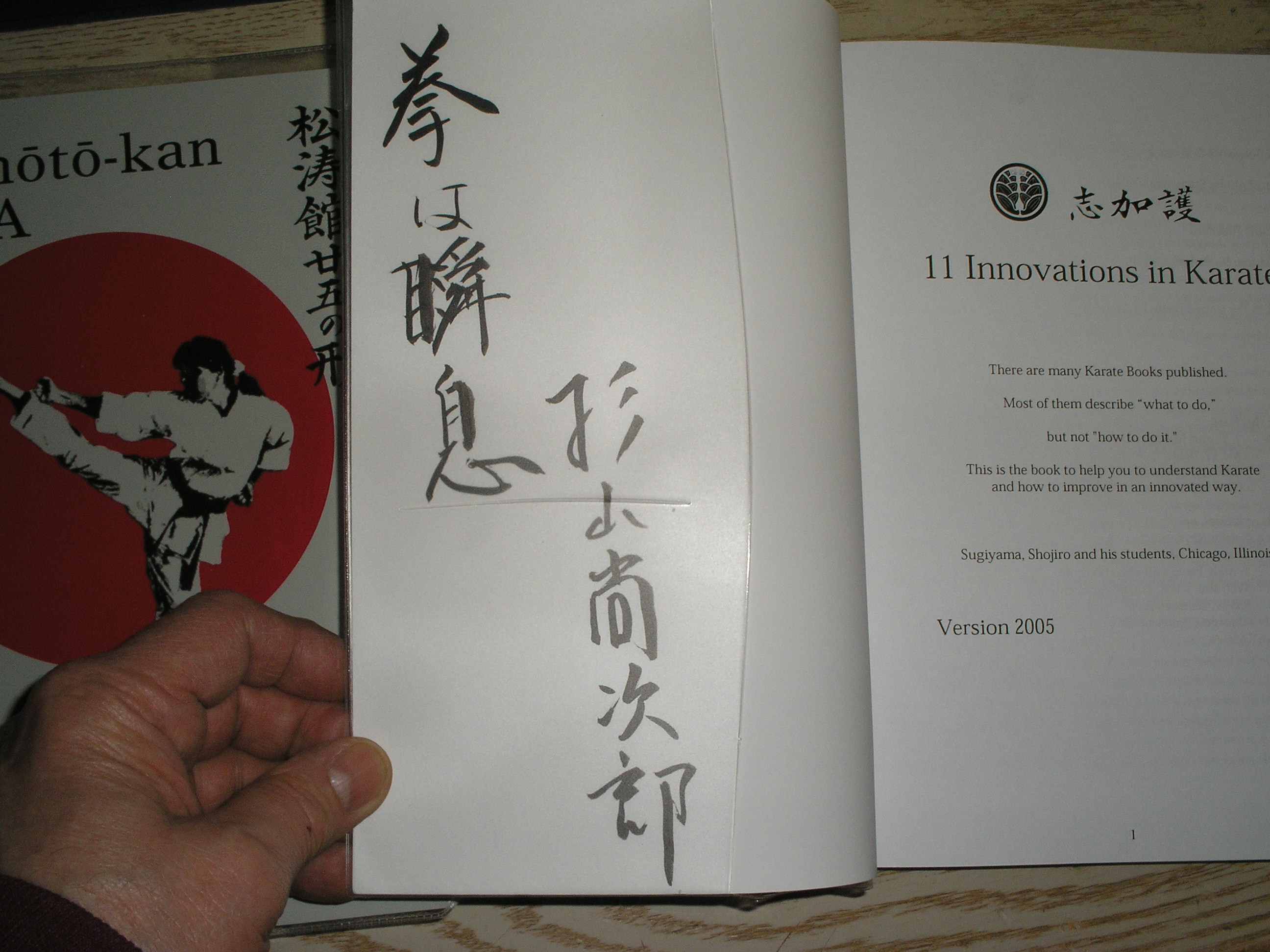 11 Innovations in Karate by Sugiyama, Shojiro: New Soft cover (2005 ...