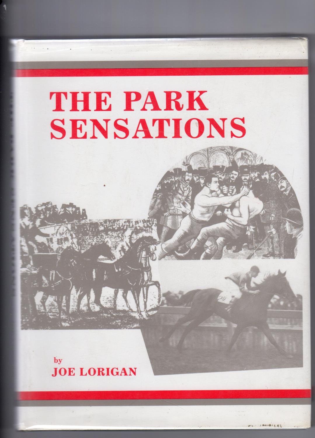 The Park Sensations by Lorigan Joe: Very Good Cloth (1987) First ...