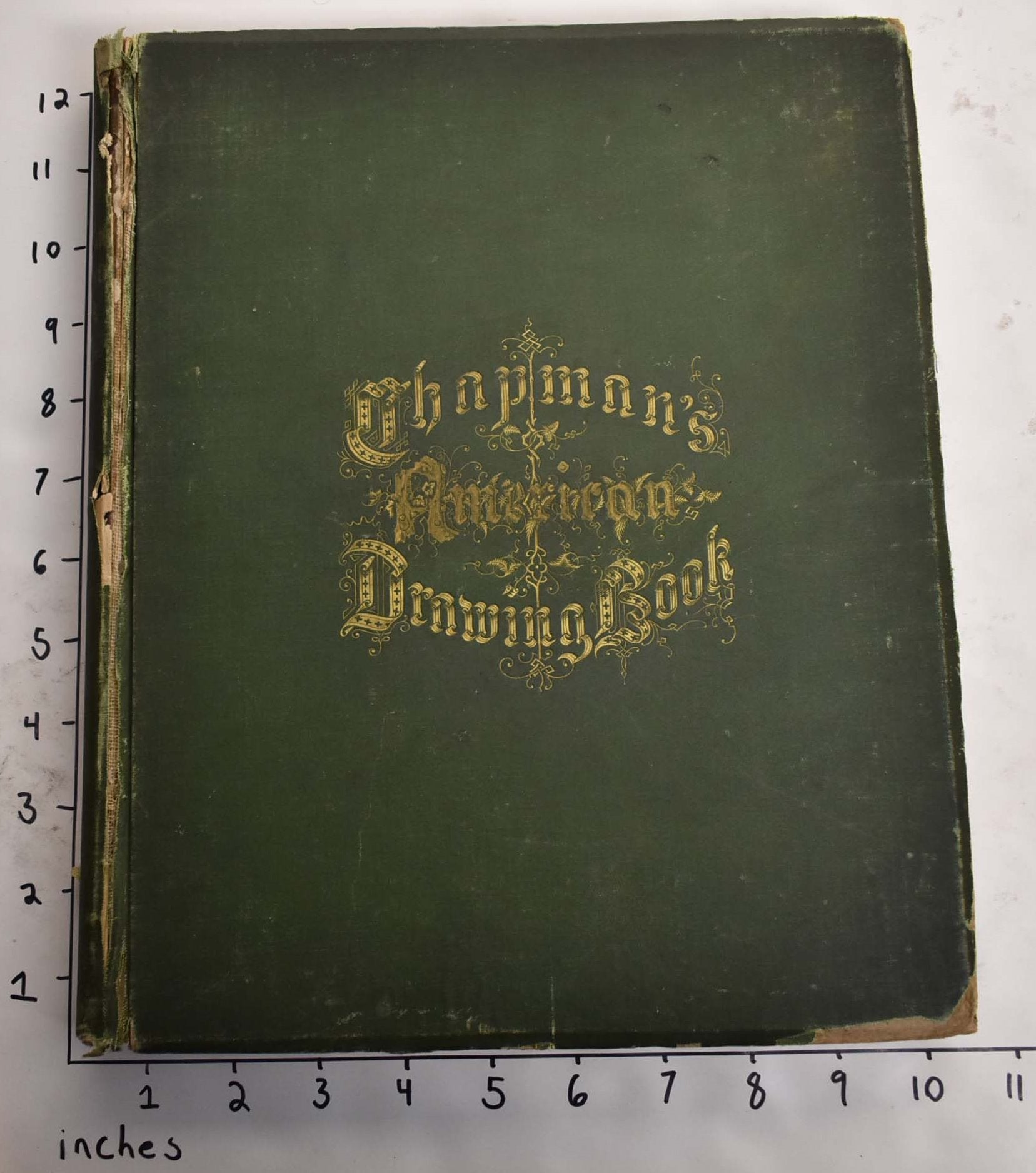 Chapman's American Drawing-Book: A Manual for the Amateur, and Basis of ...