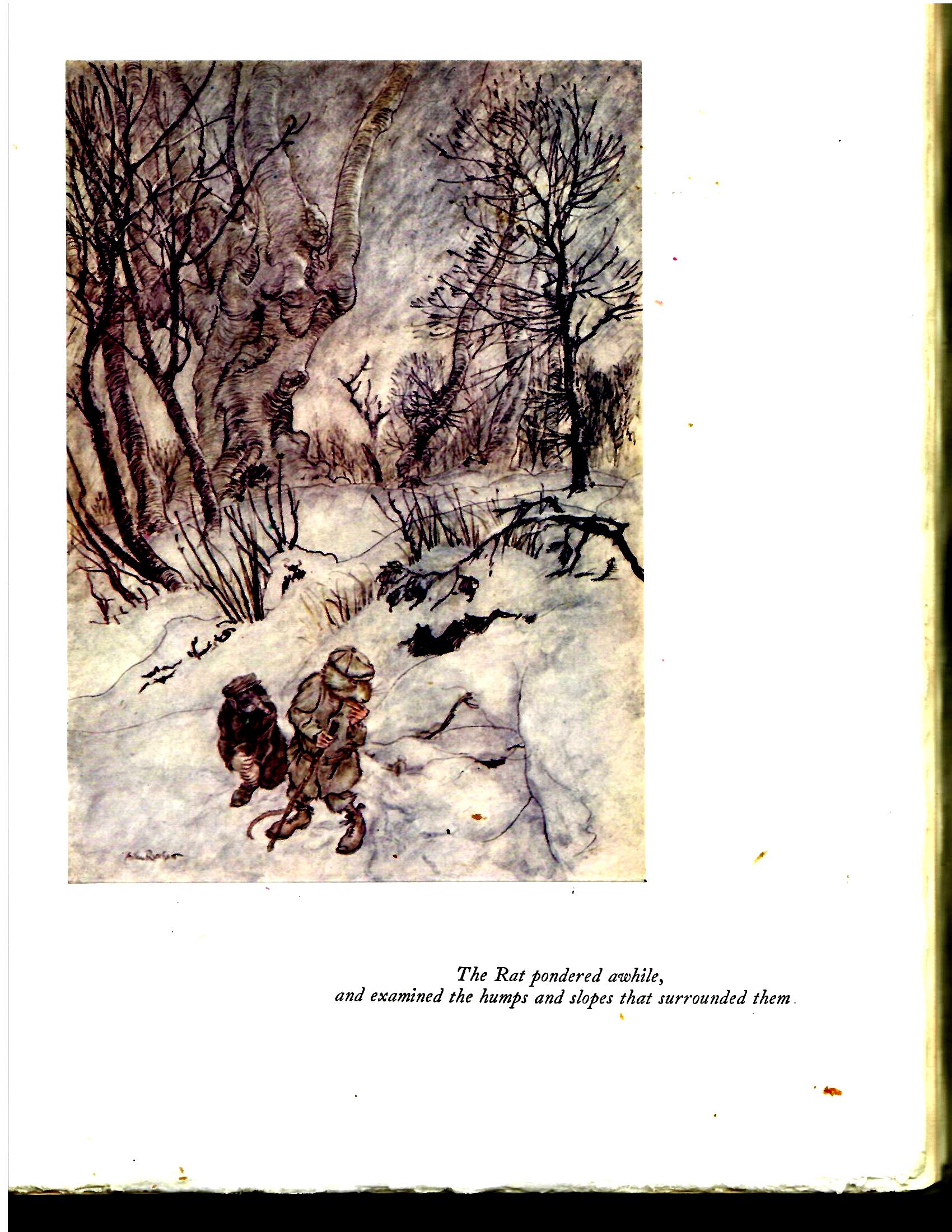 THE WIND IN THE WILLOWS. by Graham, Kenneth and Arthur Rackham.: Fine ...