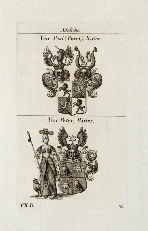 Kupferstich von Tyroff mit 2 Wappen auf einem Blatt. Adeliche. Von Pesl ...