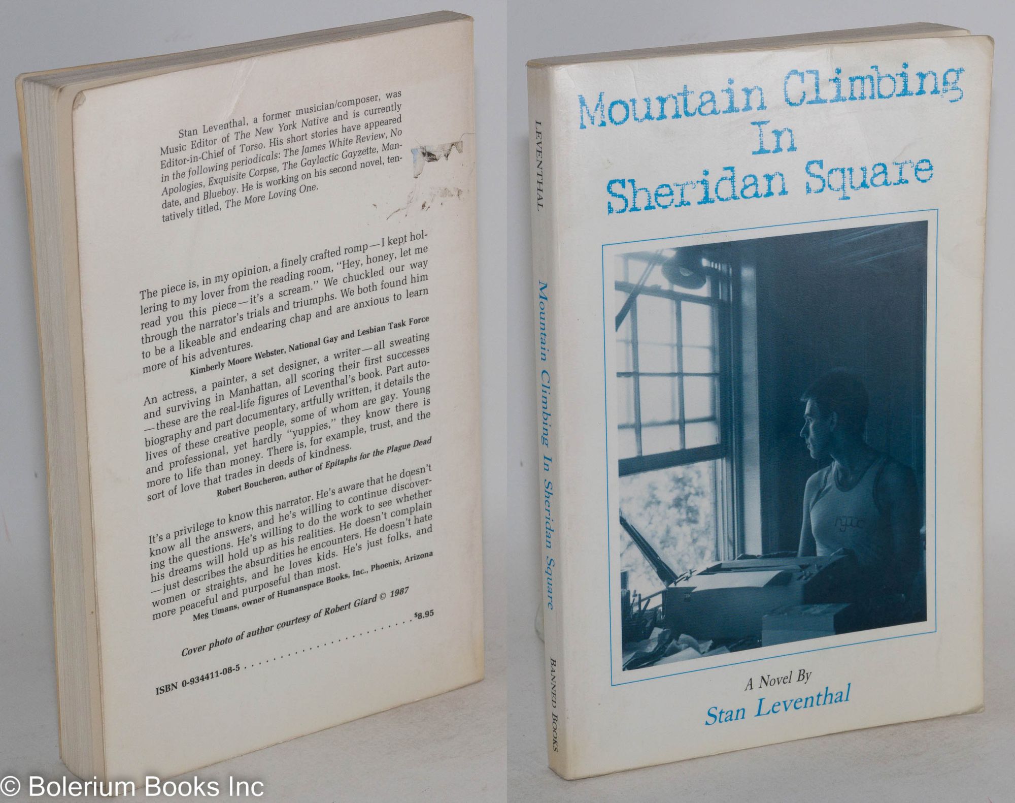 Mountain climbing in Sheridan Square a novel by Leventhal, Stan ...
