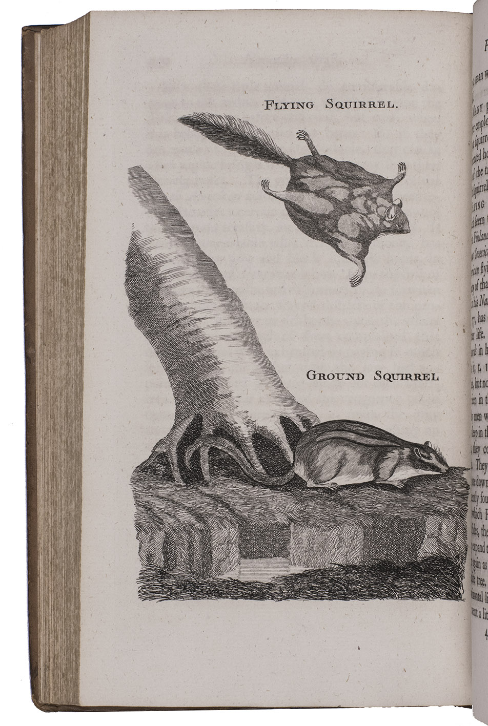 Travels into North America. by KALM, Peter.: (1772) | Antiquariaat FORUM BV