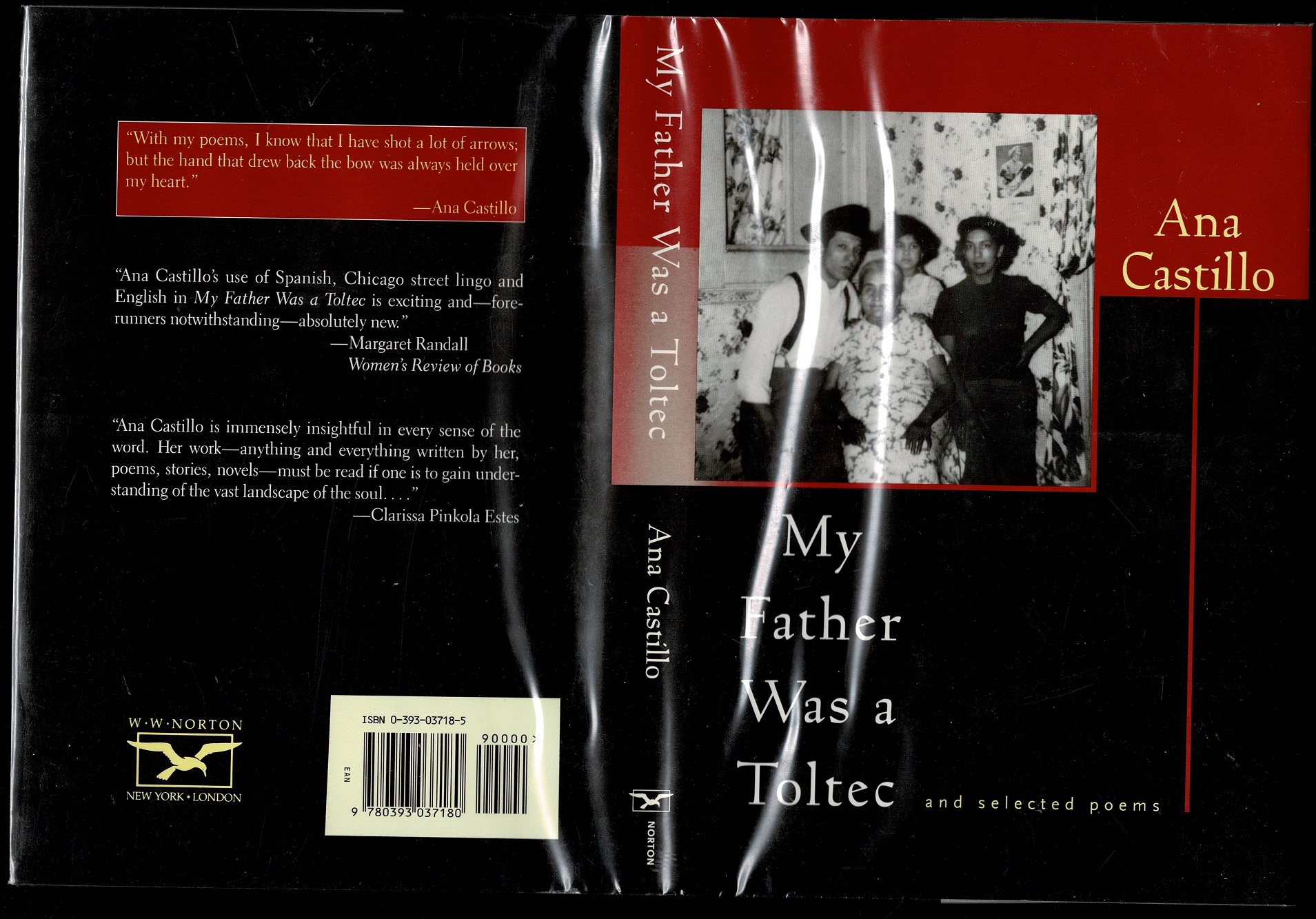My Father was a Toltec and Selected Poems 1973-1988 by Ana Castillo ...