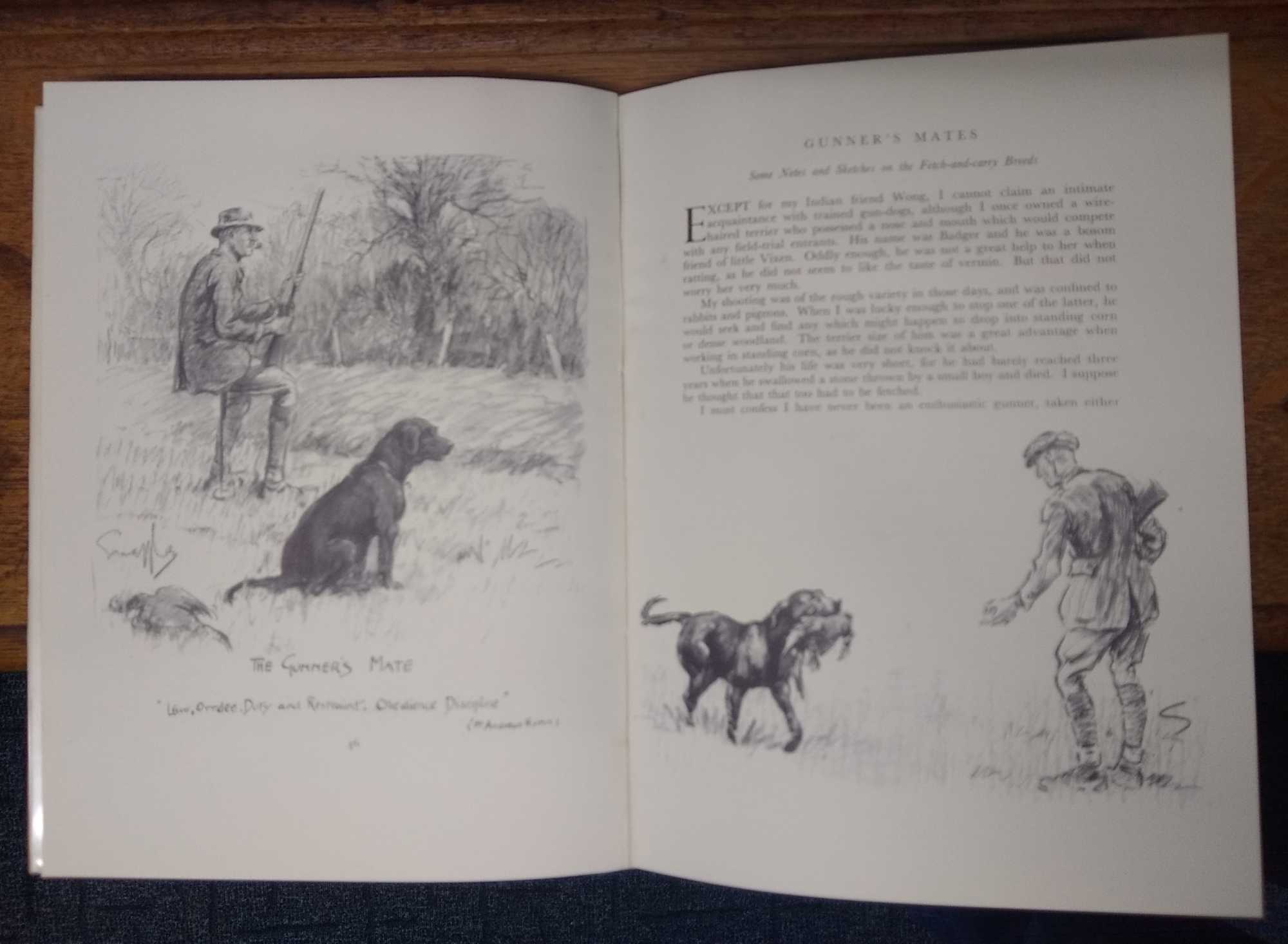 Four Legged Friends and Acquaintances by Snaffles by Snaffles: Very ...