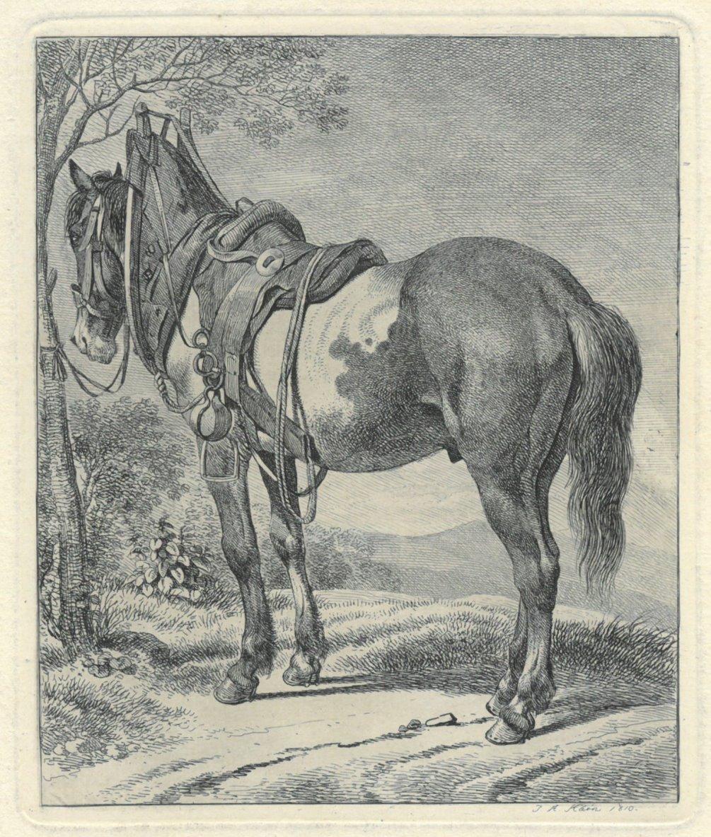 JOHANN ADAM KLEIN (1792 - 1875). Sechs Blatt Reit- und Wagenpferde ... JOHANN ADAM KLEIN (1792 - 1875). Sechs Blatt Reit- und Wagenpferde ...