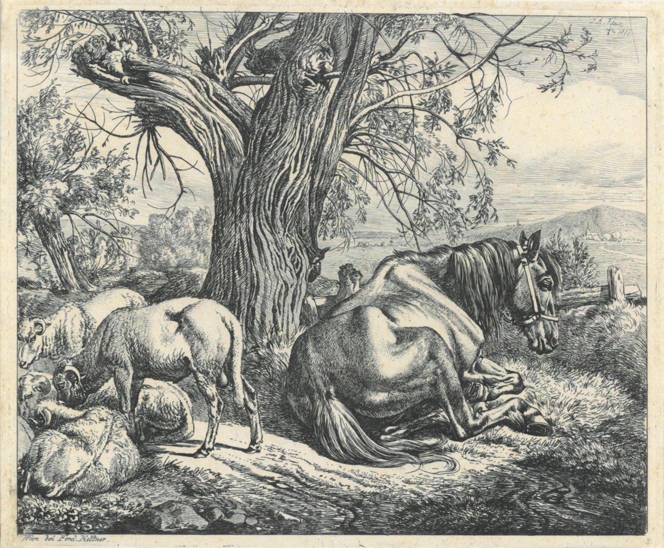 JOHANN ADAM KLEIN (1792 - 1875). JOHANN ADAM KLEIN (1792 - 1875).