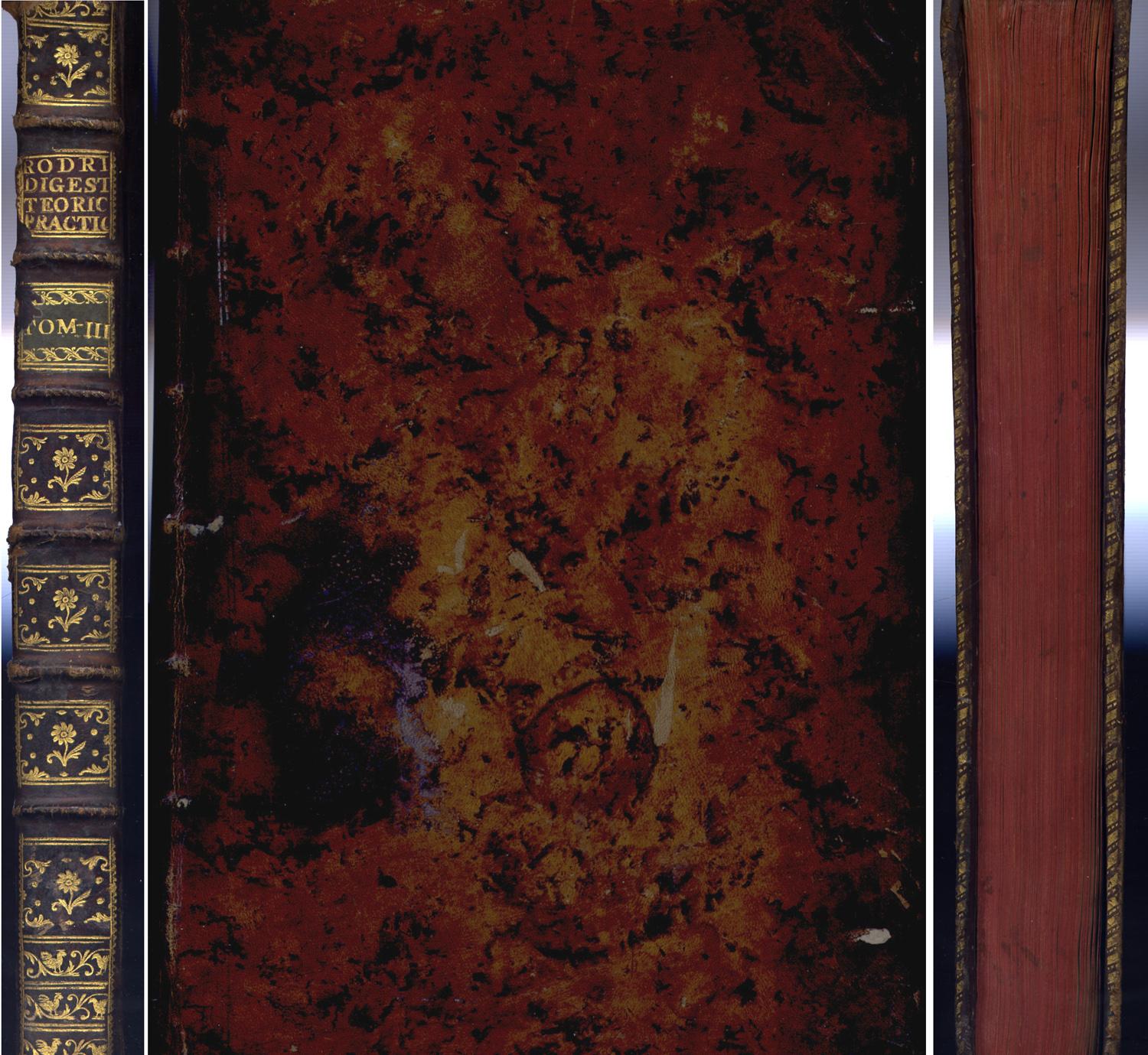 Digesto Teórico-Práctico ó Recopilación de los Derechos Común, Real y ...