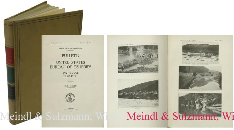 Vol. XXXVII for 1919-20. Hugh M. Smith Commissioner. par Fish ...