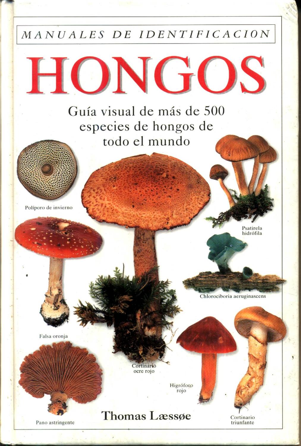 Manuales de Identificacion - Hongos by Laessoe, Thomas: Nuevo ... Manuales de Identificacion - Hongos by Laessoe, Thomas: Nuevo ...