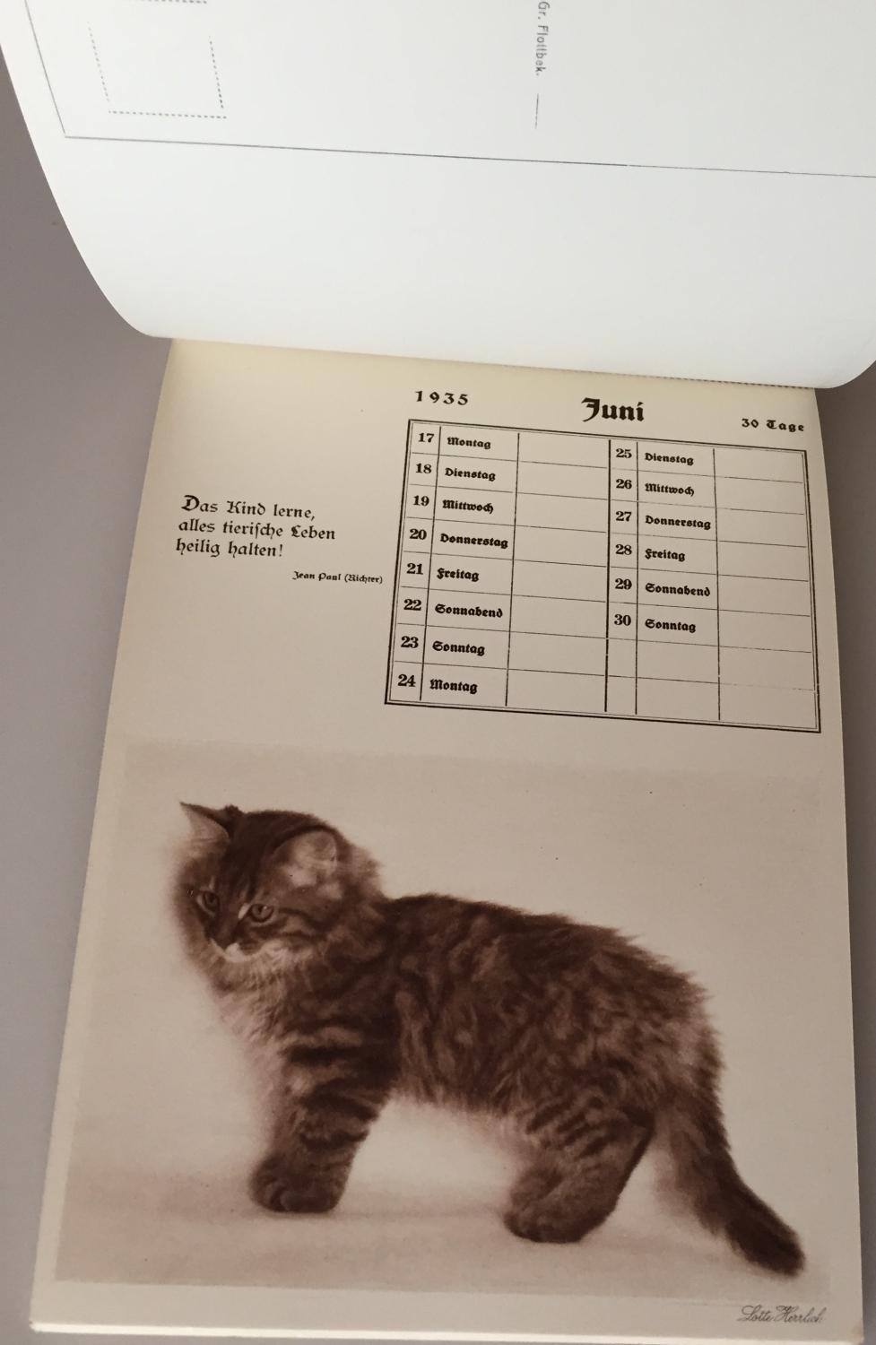 Lotte Herrlich. Tierkalender 1935. by Herrlich, Lotte: (1934 ...