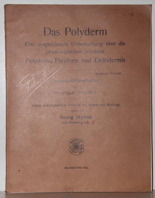 Das Polyderm. Eine vergleichende Untersuchung über die physiologischen ...