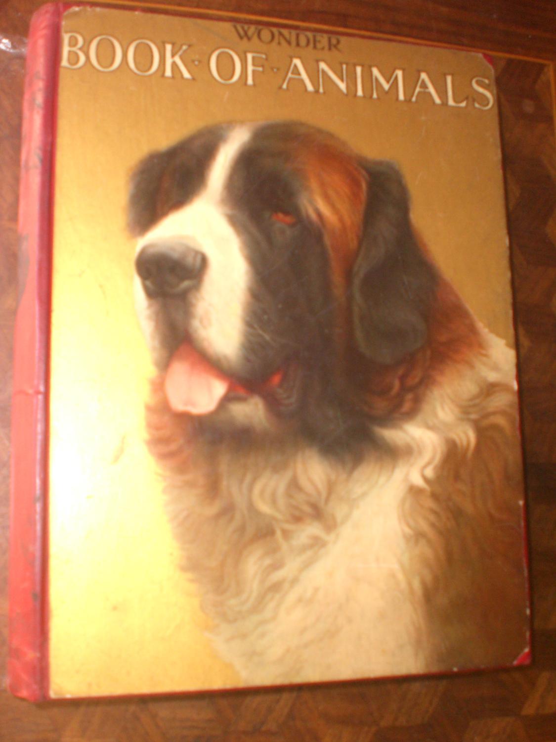 Stokes wonder book of animals for boys and girls: Assez bon Couverture ...