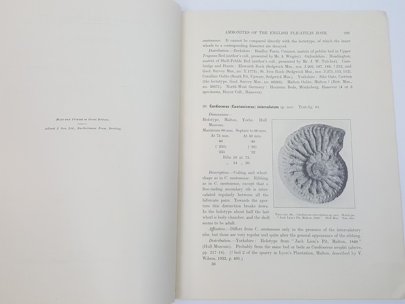 A Monograph on the Ammonites of the English Corallian Beds, Part VIII ...