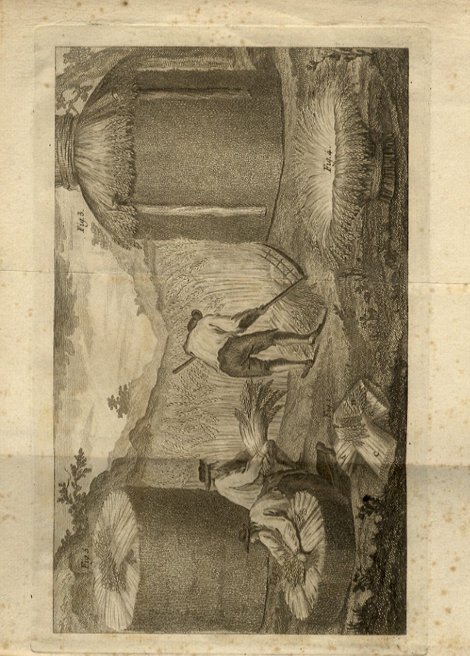 Méthode pour recueillir les grains dans les annees pluvienses, et les ...