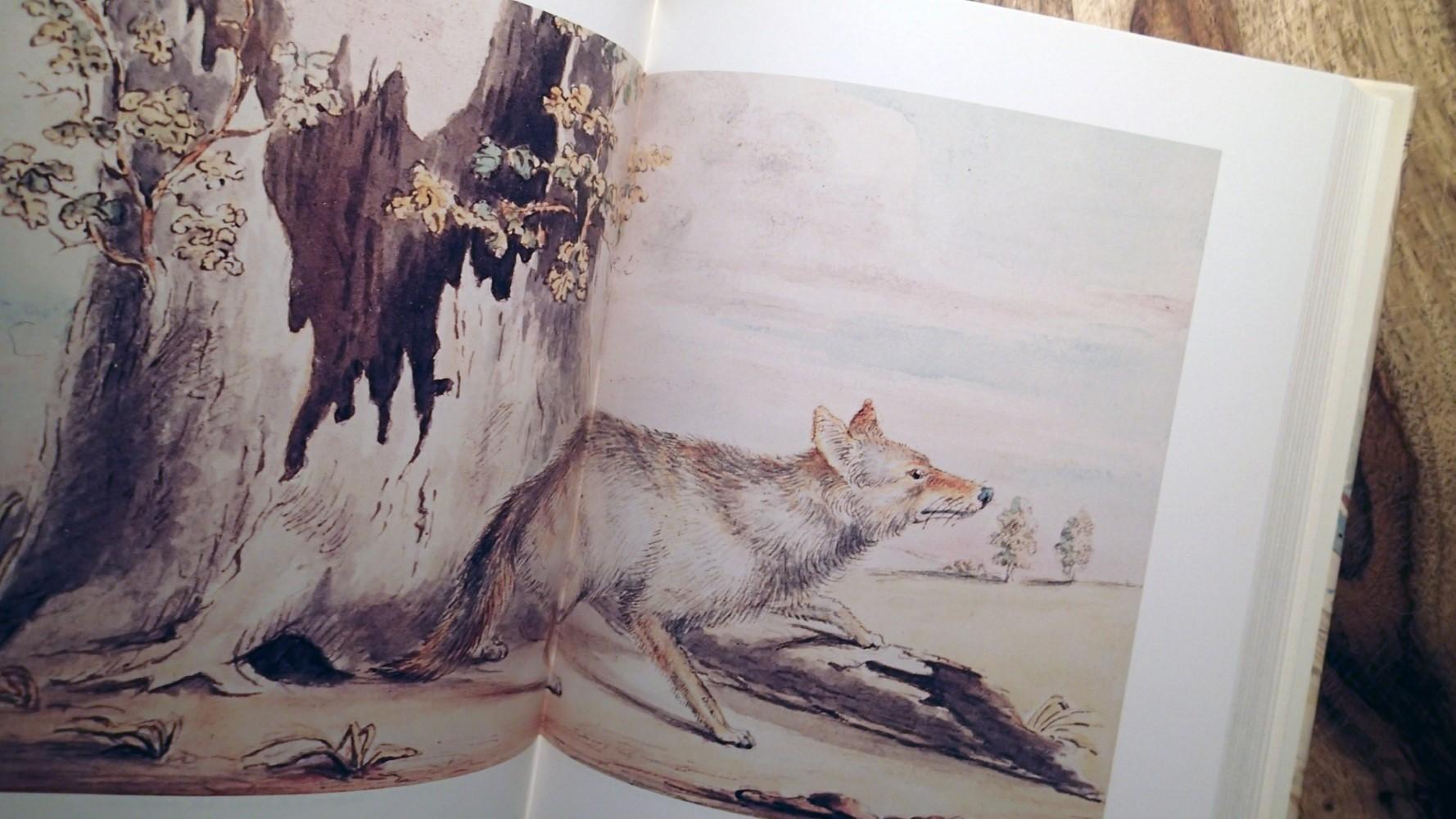 FROM PITTSBURGH TO THE ROCKY MOUNTAINS : Major Stephen Long's ...