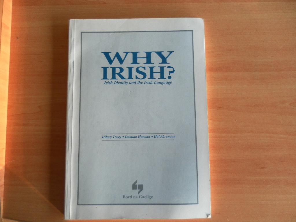 Why Irish? irish Identity and the Irish Language by Tovey, Hilary ...