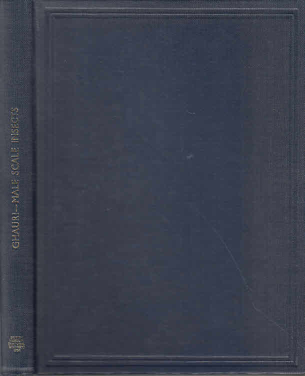 Morphology and Taxonomy of Male Scale Insects: Homoptera Coccoidea von ...