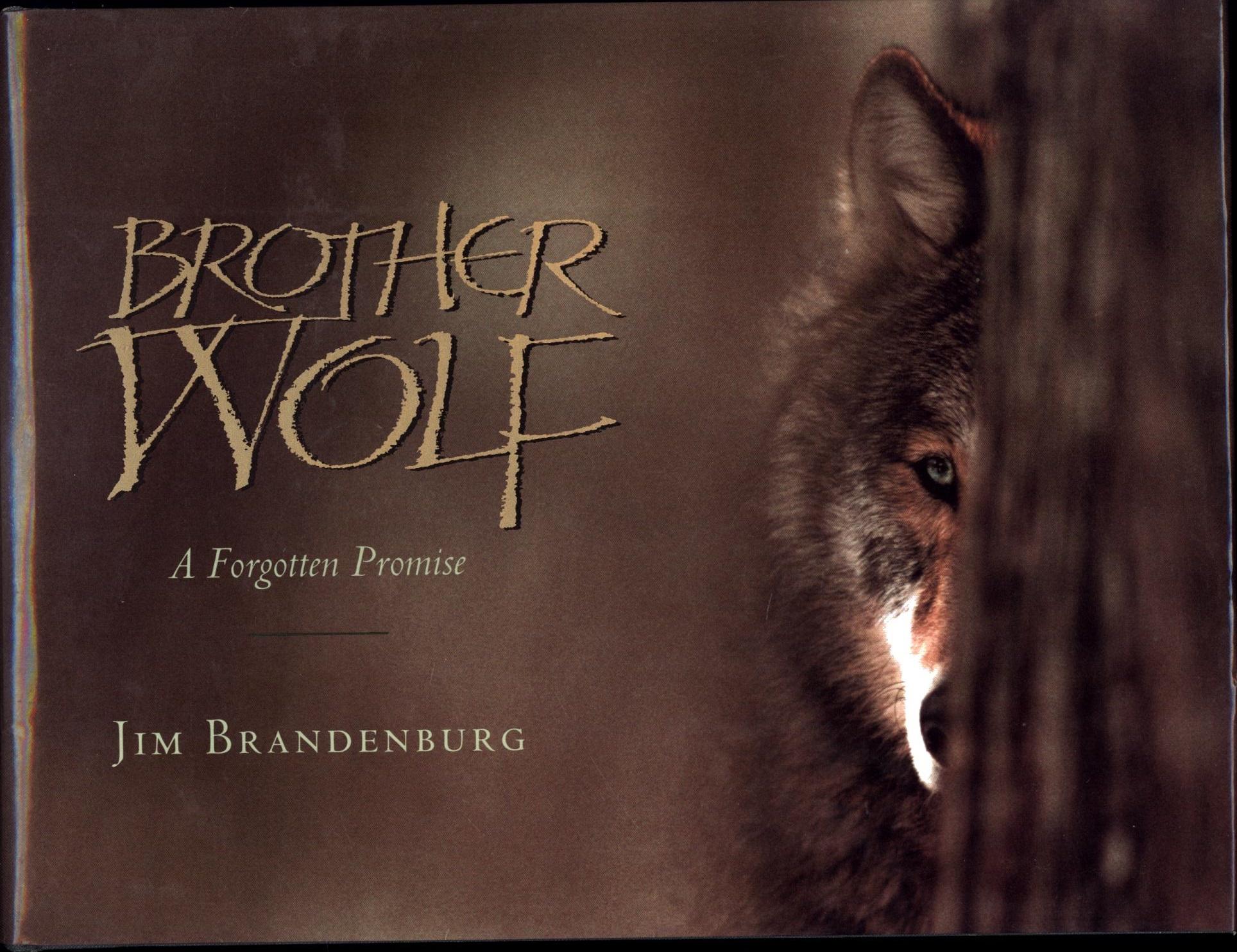 Brother Wolf / A Forgotten Promise by Brandenburg, Jim: Very Good ...